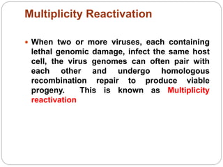 Lecture 1 Recombination_ Homologous Recombination (Final).pptx