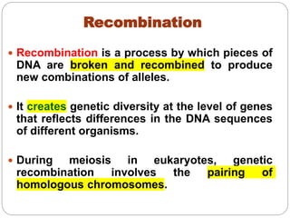Lecture 1 Recombination_ Homologous Recombination (Final).pptx ...