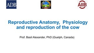 Lecture 1_ Reproductive Anatomy and Physiology of cow.pptx