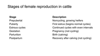 Lecture 1_ Reproductive Anatomy and Physiology of cow.pptx