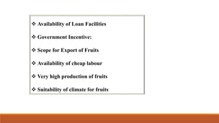 scope & importance of fruit and plantation crop in india.docx