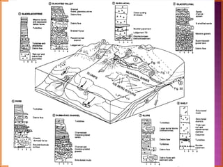 Sedimentary Rock Classification | PPTX