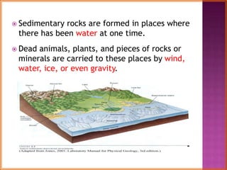 Sedimentary Rock Classification | PPTX