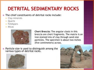 Detrital Sedimentary Rocks