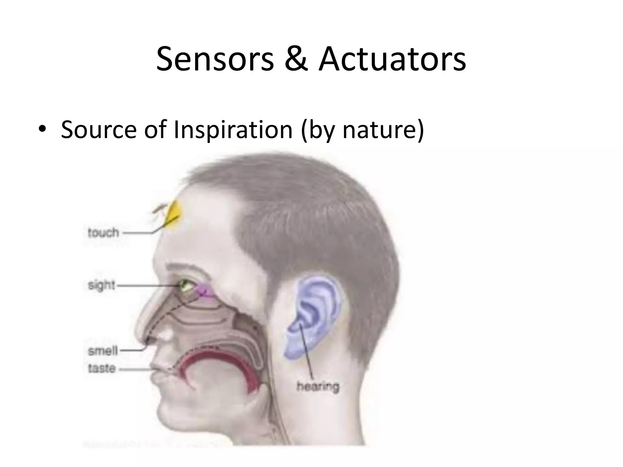 Lecture 1 Sensors Actuators(1).pptx