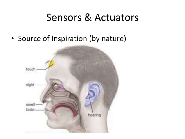 Lecture 1 Sensors Actuators(1).pptx