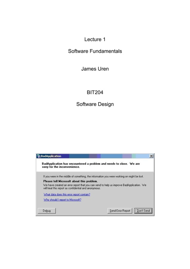 BIT204 1 Software Fundamentals | PDF