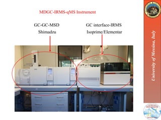 High Efficiency Multidimensional Gas Chromatography Coupled to Isotope ...