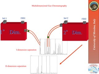 High Efficiency Multidimensional Gas Chromatography Coupled to Isotope ...