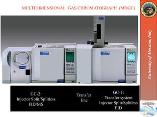 High Efficiency Multidimensional Gas Chromatography Coupled to Isotope ...