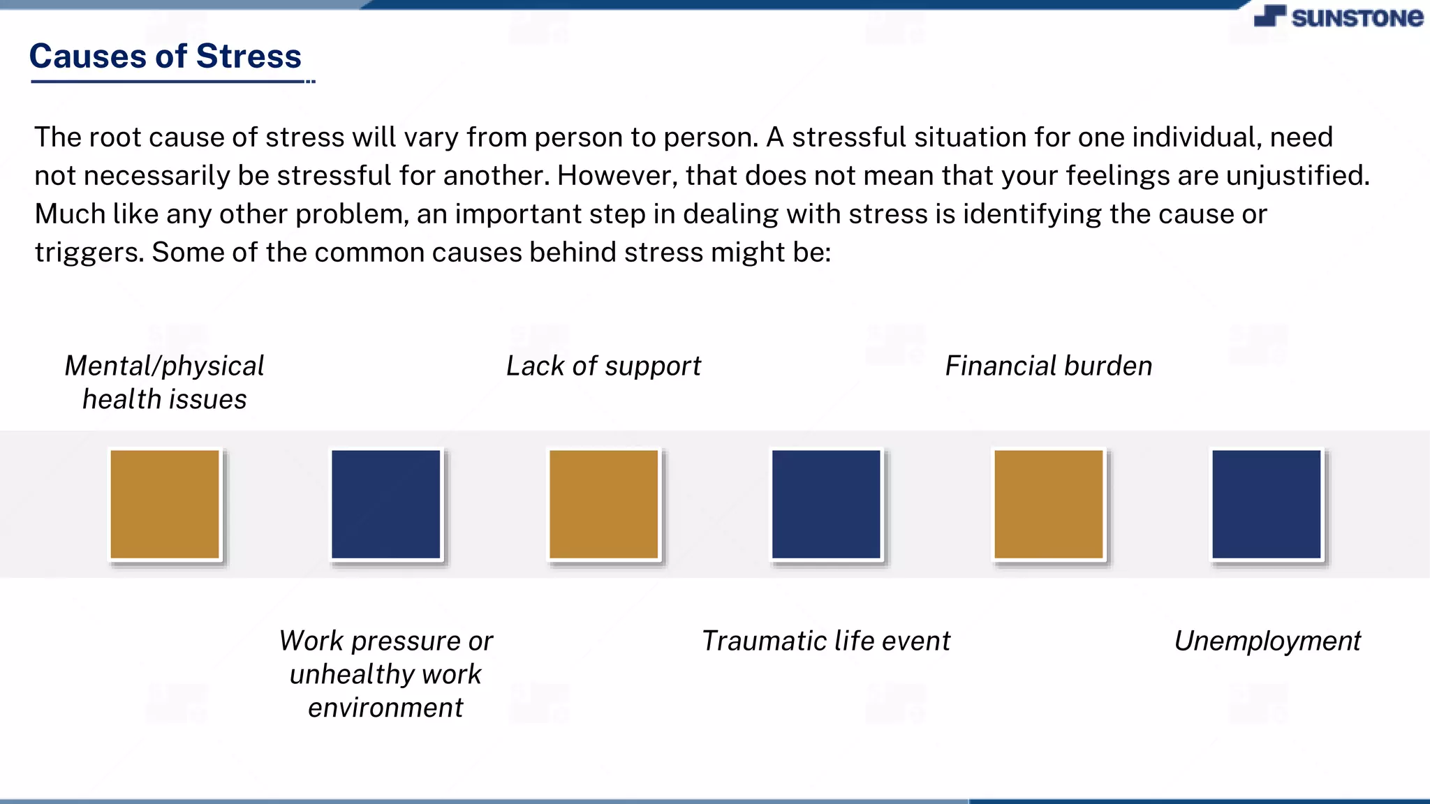 Lecture 1_ Stress Management.pptx