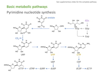 Lecture 1 Supplementary slides.pptx