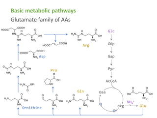 Lecture 1 Supplementary slides.pptx