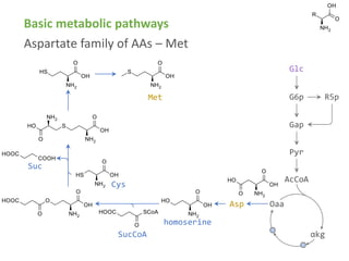 Lecture 1 Supplementary slides.pptx