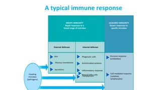 Lecture 1 the 3rd line of defence ; Adaptive immunity.pdf