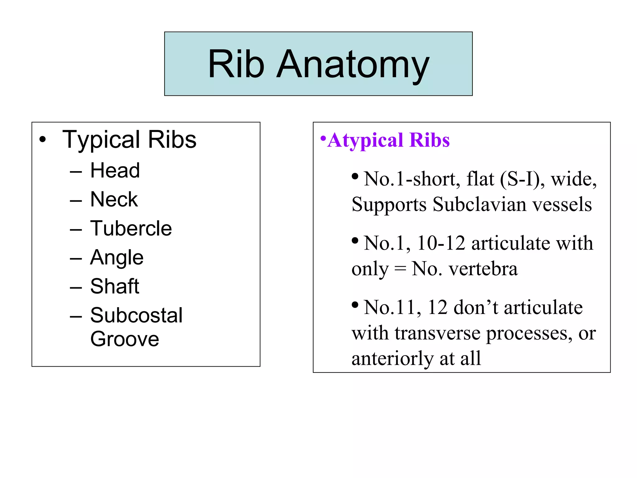 Lecture 1 thoracic wall | PPT
