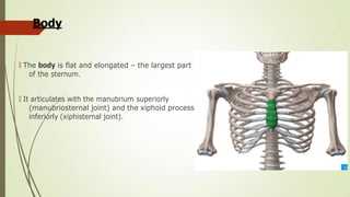 Lecture 1 Thorax osteology and ribs and muscles.pdf