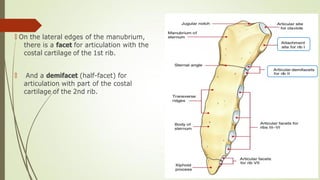 Lecture 1 Thorax osteology and ribs and muscles.pdf