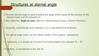 Lecture 1 Thorax osteology and ribs and muscles.pdf