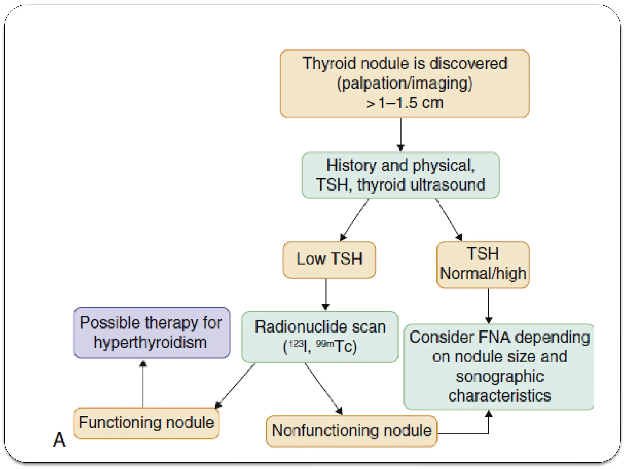 lecture 1_ evaluation of thyroid nodule.pptx