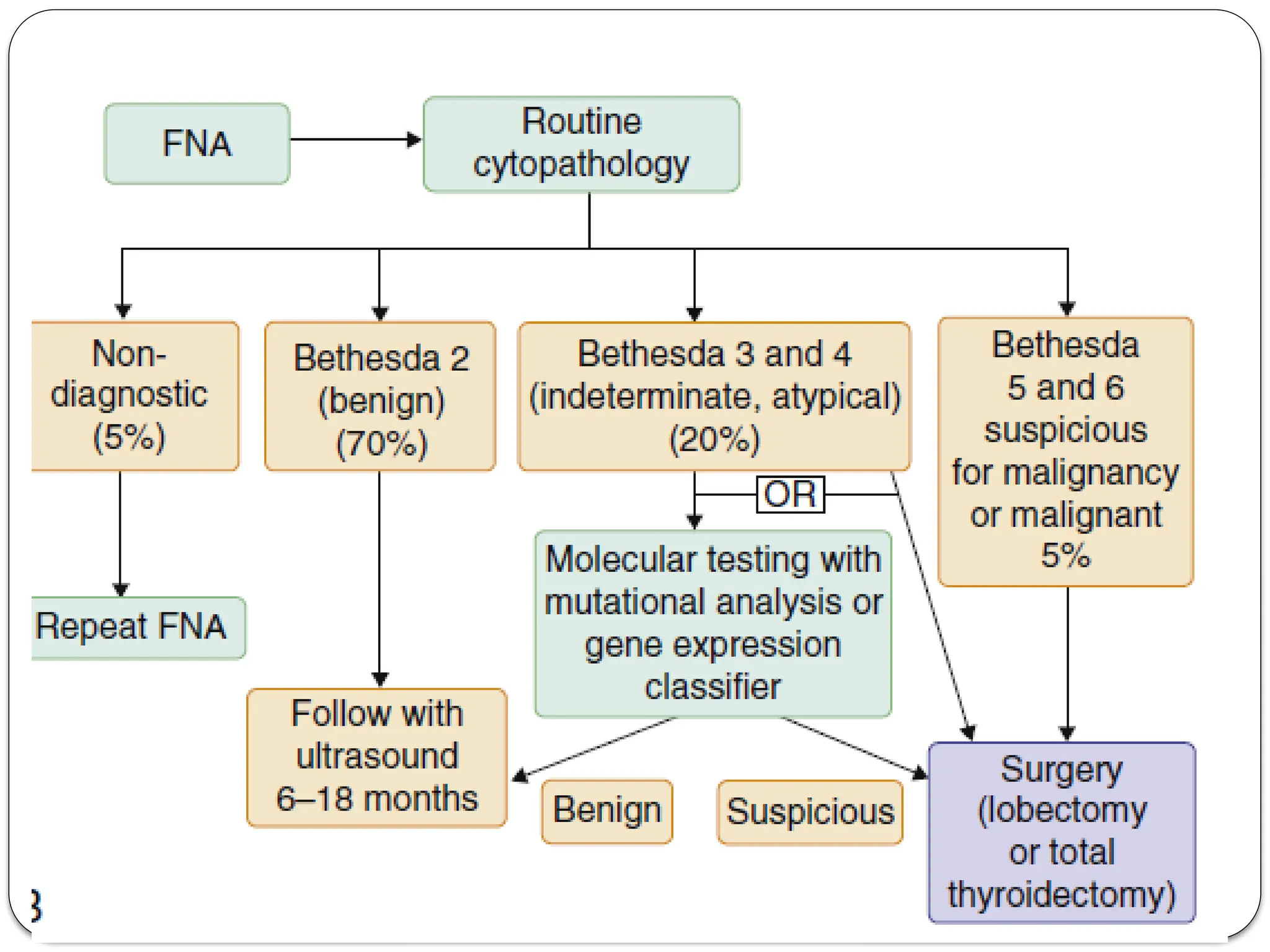 Lecture 1 Evaluation Of Thyroid Nodule Pptx