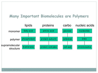lecture 1 Unit-_I_Scope_and_importance_of_biochemistry_-_Copy.pptx