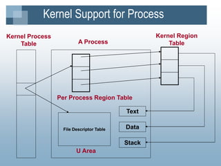 Kernal | PPT