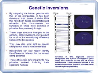 Lecture2 | PDF | Genetics | Science