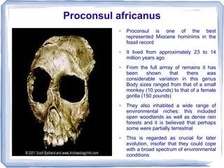 Lecture2 | PDF | Genetics | Science
