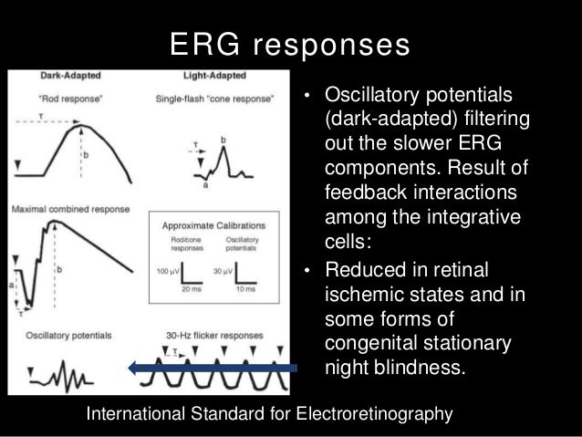 Lecture 2:Retinal Diagnostics