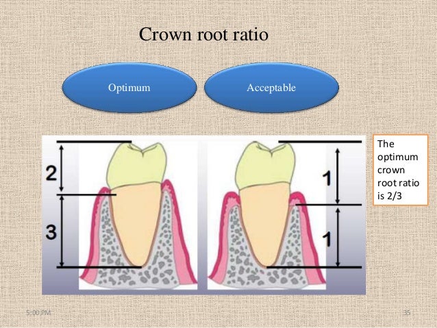 Lecture 2. treatment planning & treatment sequences