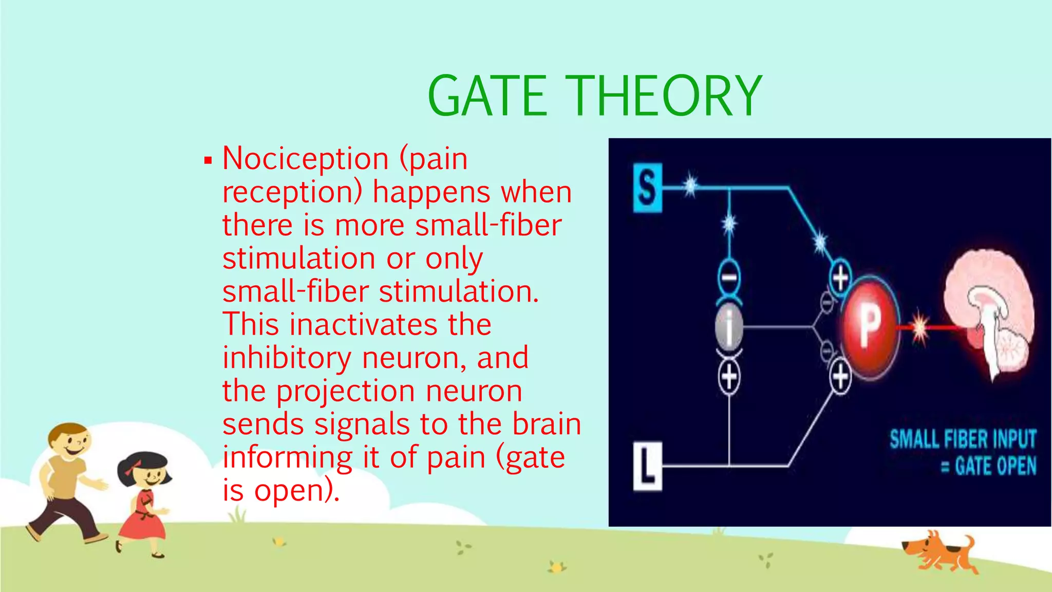 Pain & Theories of Pain | PPTX