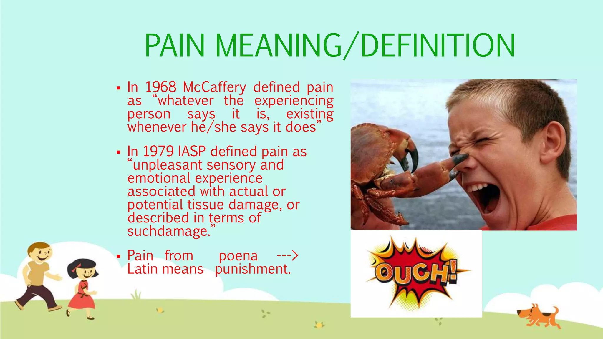 Pain & Theories of Pain | PPTX
