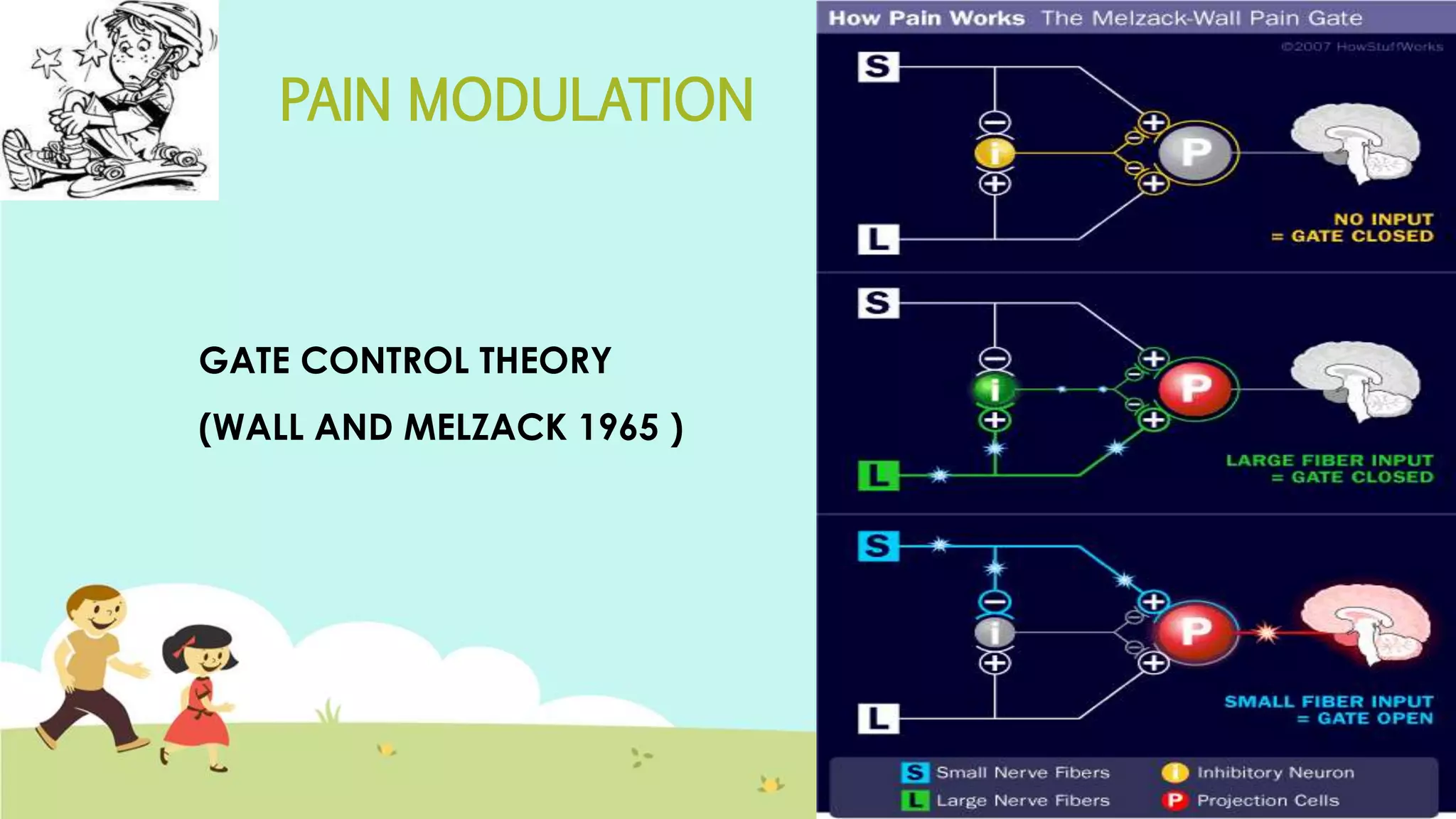 Pain & Theories of Pain | PPTX