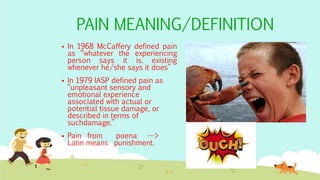 Pain & Theories of Pain | PPTX