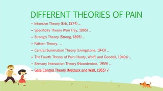 Pain & Theories of Pain | PPTX