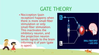 Gate Control Theory