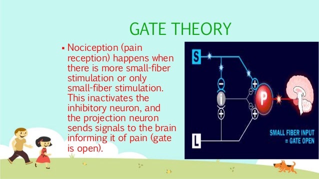 Pain & Theories of Pain