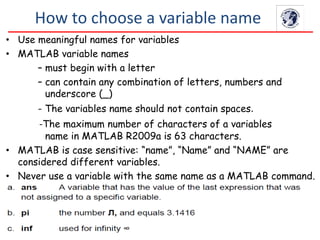 Matlab HTI summer training course_Lecture2 | PDF