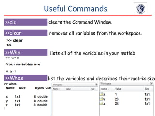 Matlab HTI summer training course_Lecture2 | PDF