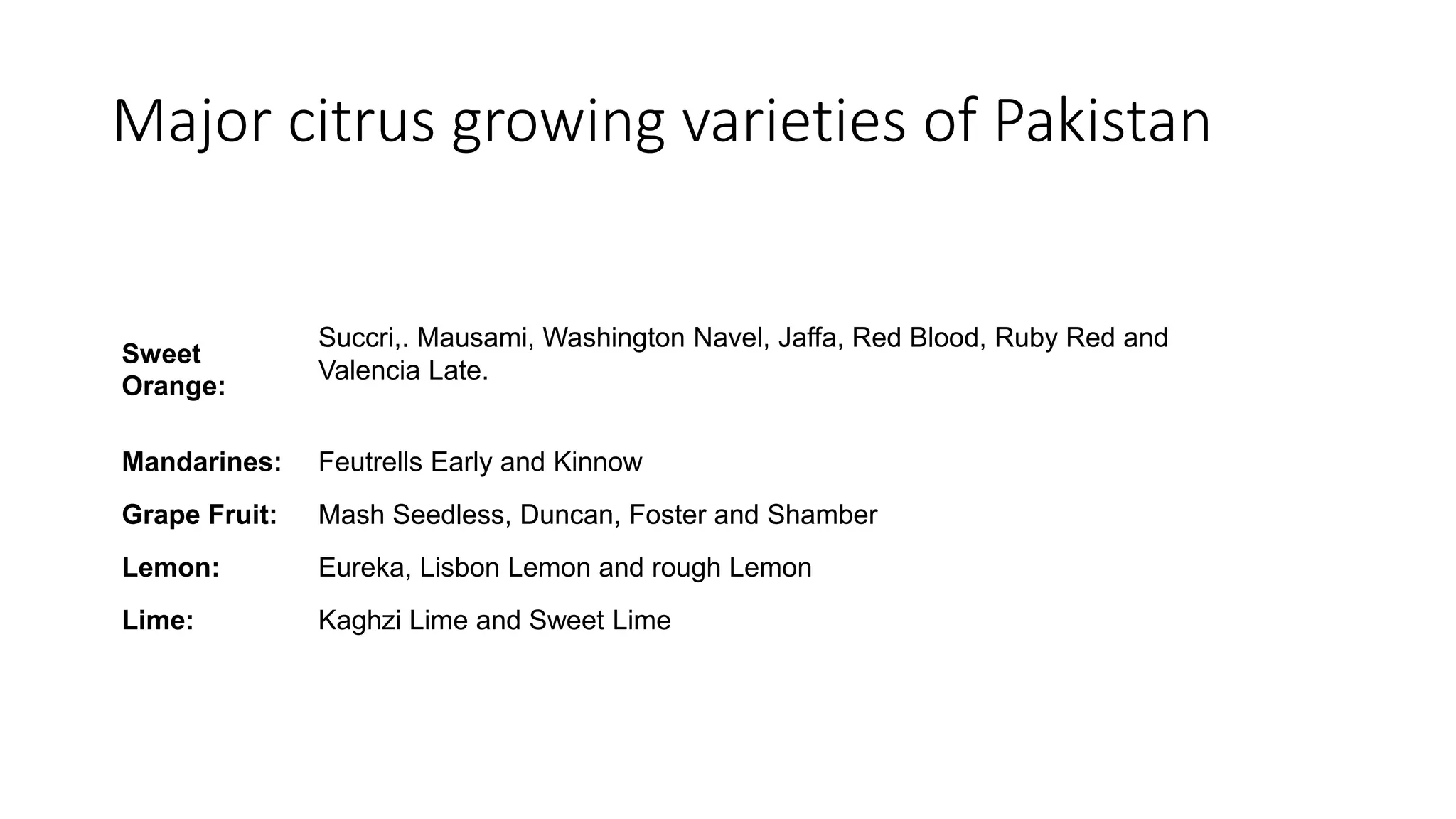 Citrus | PPTX