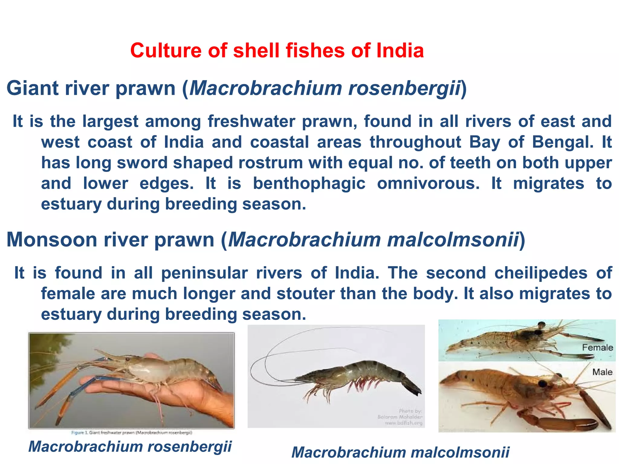 Lecture 2. aquaculture systems methods_and_types - copy | PPT
