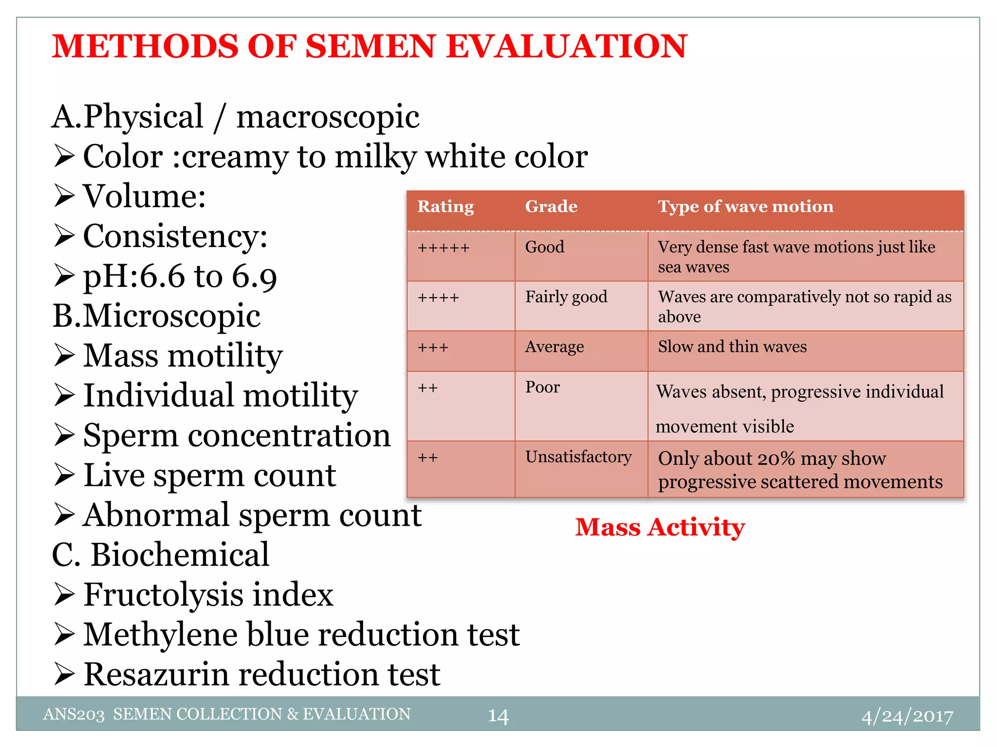 Lecture 2. semem collection lecture 2 & 3 | PPTX