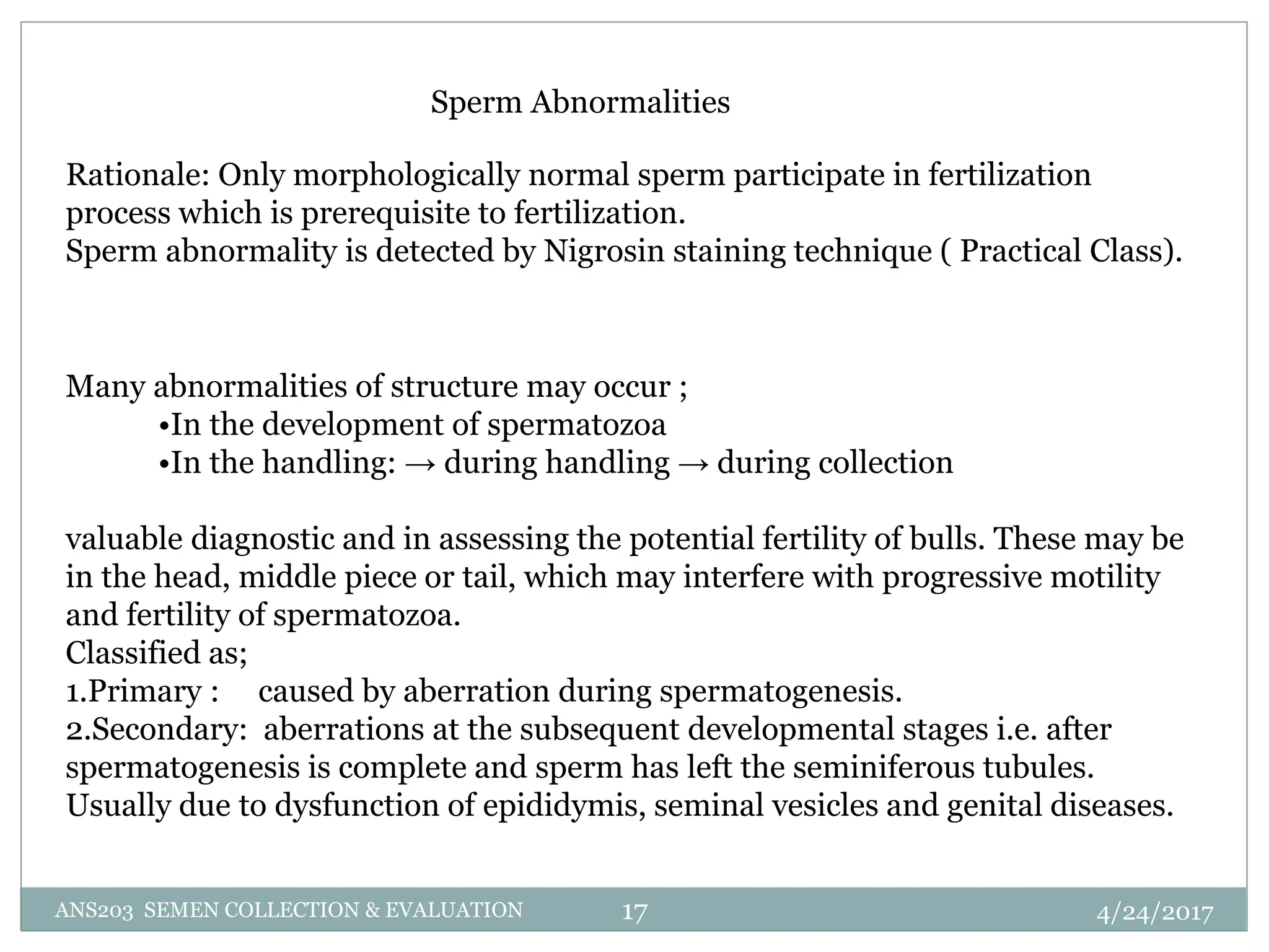Lecture 2. semem collection lecture 2 & 3 | PPTX