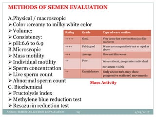 Lecture 2. semem collection lecture 2 & 3 | PPTX