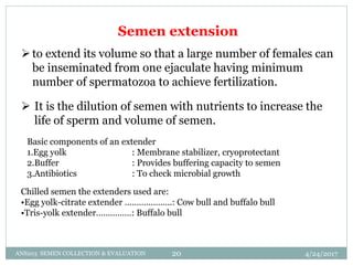 Lecture 2. semem collection lecture 2 & 3 | PPTX