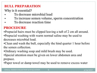 Lecture 2. semem collection lecture 2 & 3 | PPTX