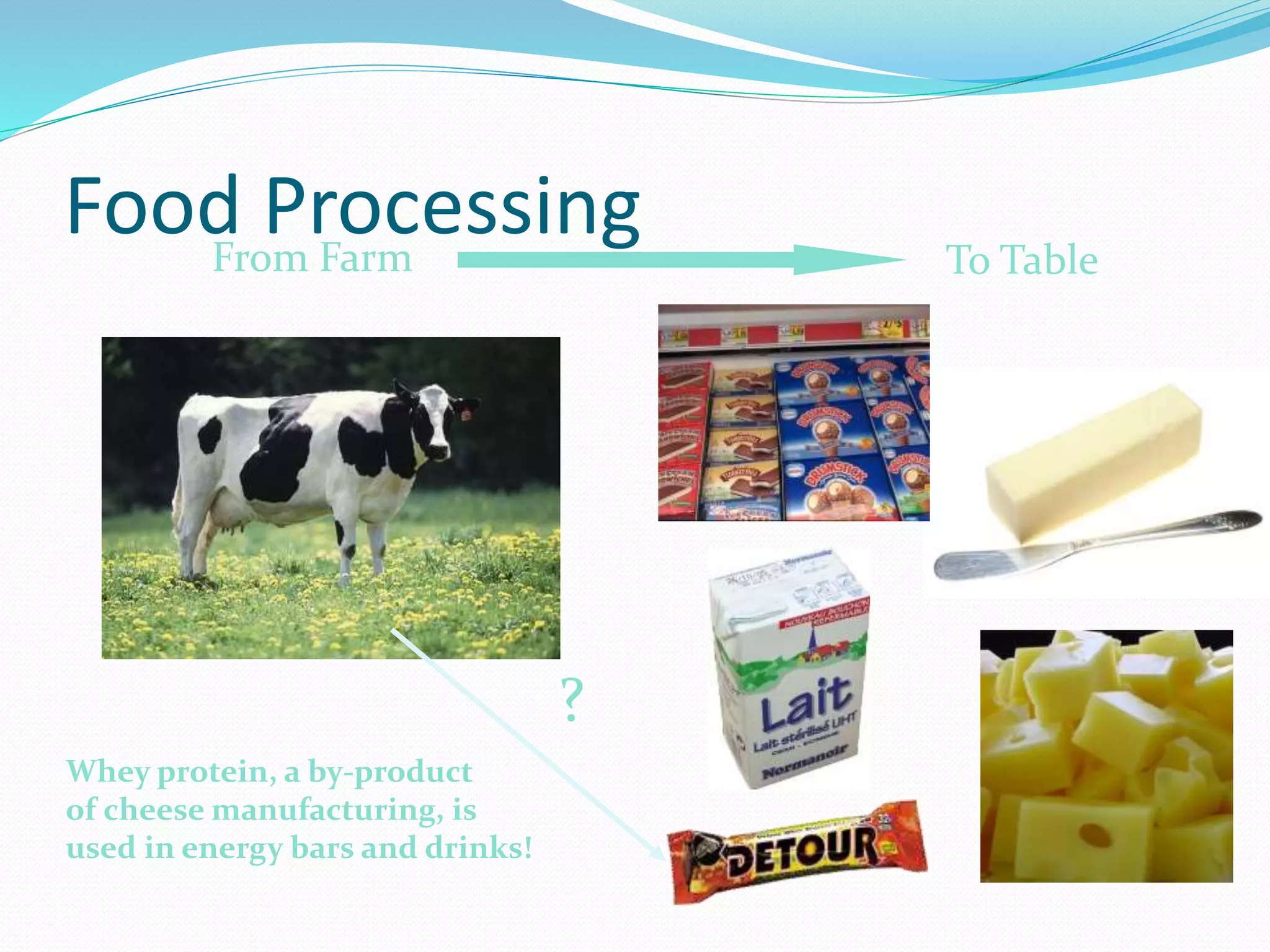 Food Processing and Preservation | PPTX
