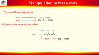 Lecture 2.1 Echelon method | PPTX | Programming Languages | Computing