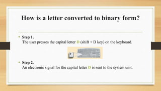 Basics of Computer | PPTX